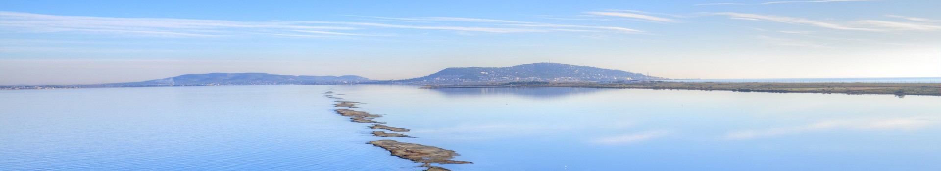 Enjoy the shells of the Thau lagoon